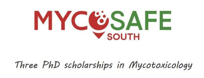 MycoSafe-South European–African PhD Scholarships in Mycotoxicology for ...