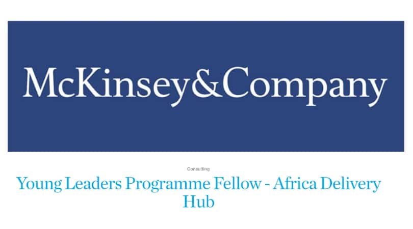 McKinsey&Company Young Leadership Programme 2024 for Graduate Africans