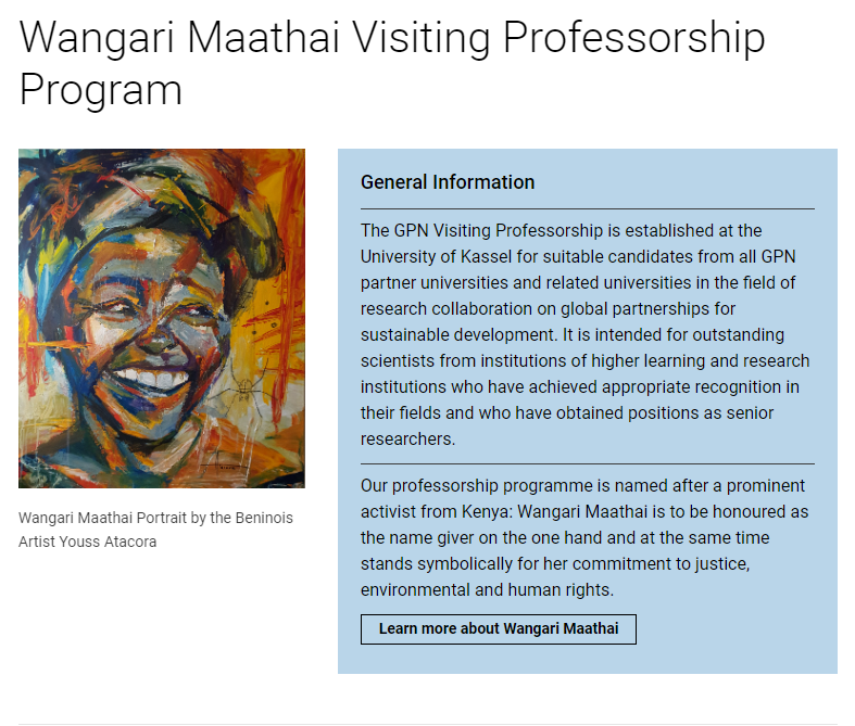 Germany: Wangari Maathai Visiting Professorship Program 2024 for Developing Countries