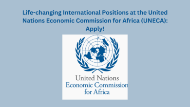 Apply for International Internship at UN Economic Commission for Africa ...
