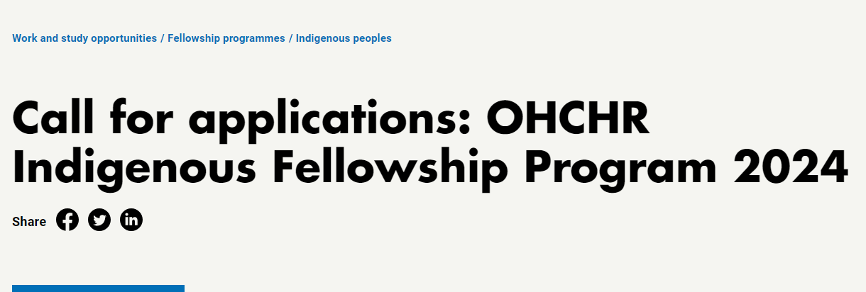 Apply for United Nations OHCHR Indigenous Fellowship Program 2025 (Fully-funded to Geneva ...