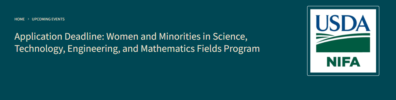 Women and Minorities in Science, Technology, Engineering, and ...