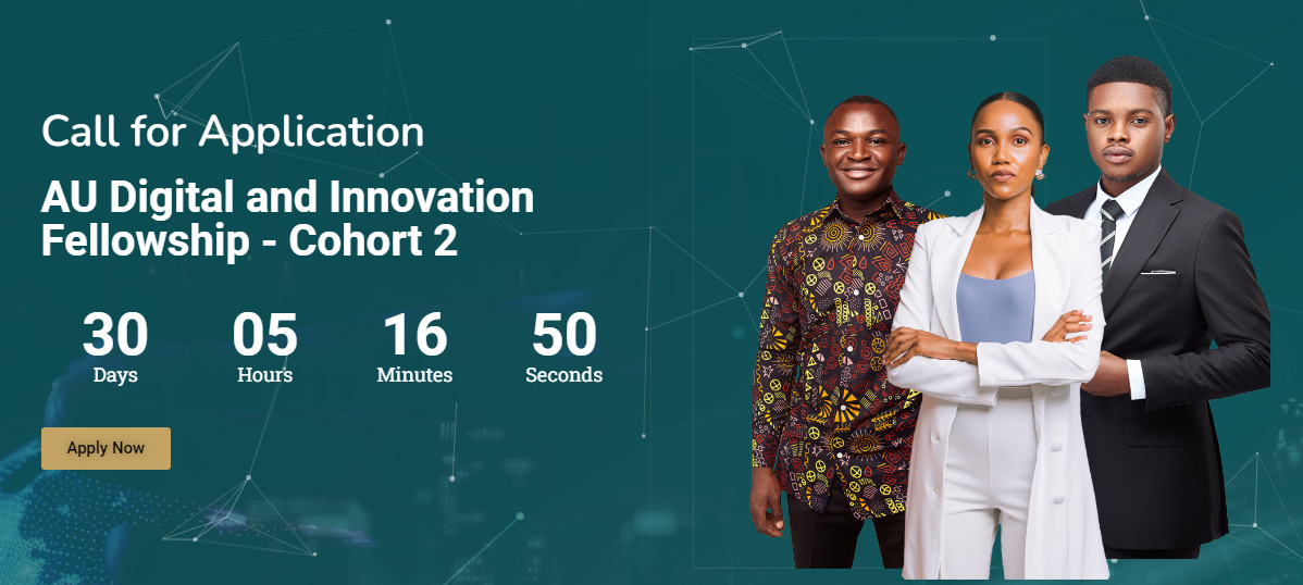 African Union Digital and Innovation Fellowship 2024 (Cohort 2) - call ...