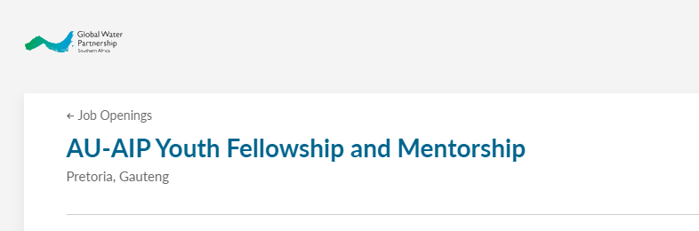 African Union (AU) AIP Youth Fellowship and Mentorship Program 2025 For ...