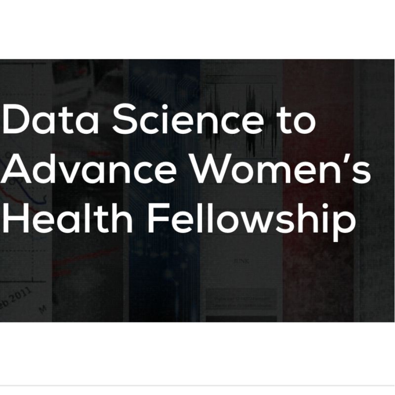 Data Science to Advance Women’s Health Fellowship 2025 for African ...