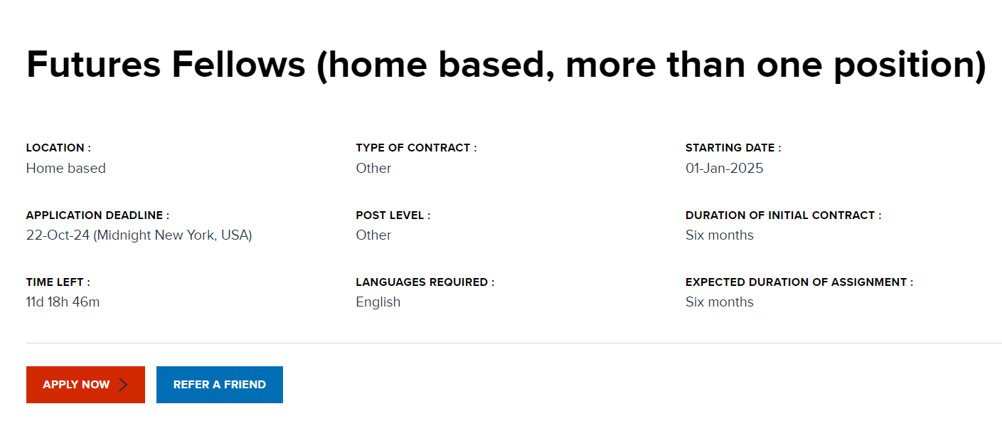 United Nations-UNDP Futures Fellows home based program 2025- Call for ...