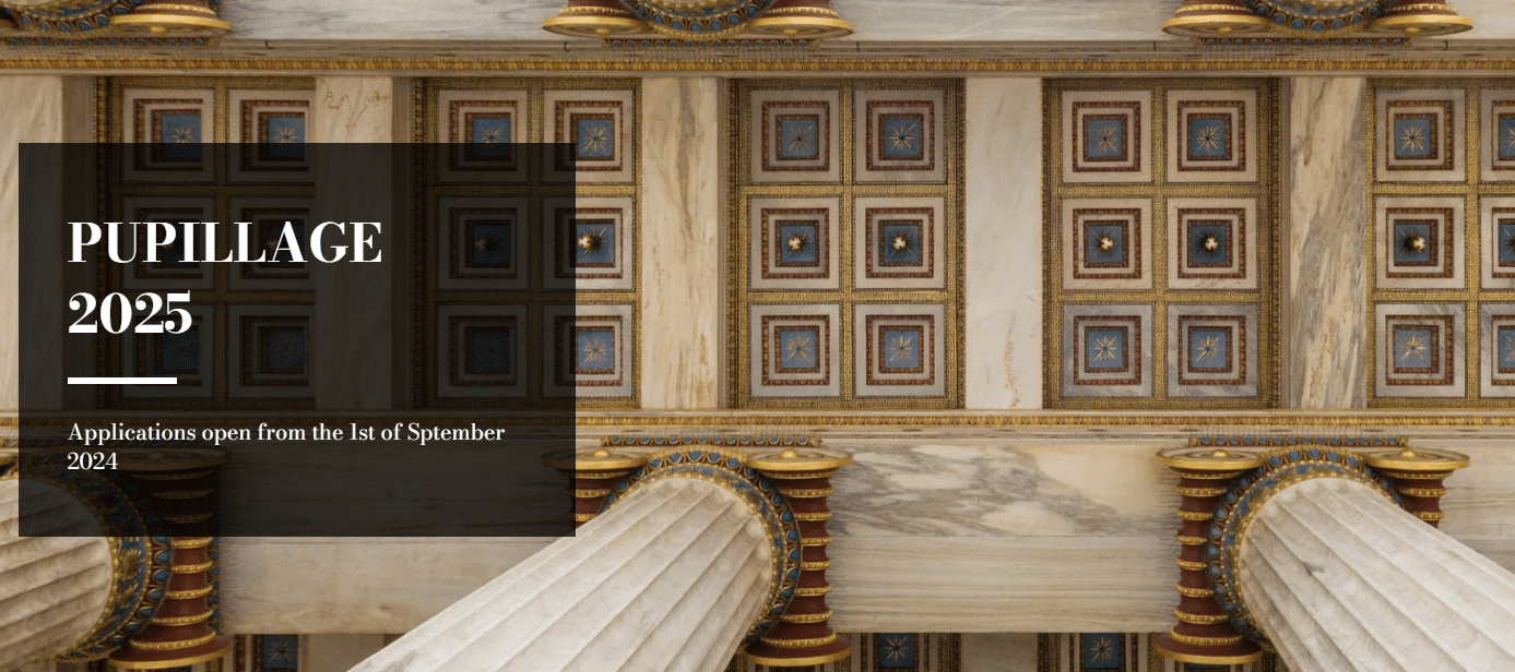 South African High Court Pupillage Program 2025 for Aspiring Advocates ...