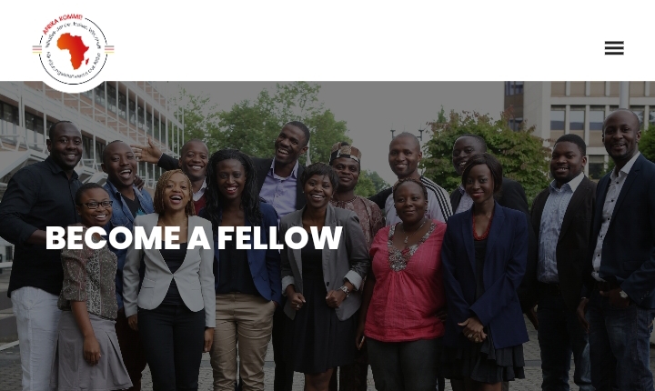 AFRIKA KOMMT! Fellowship Program For Young African Professionals 2025 ...