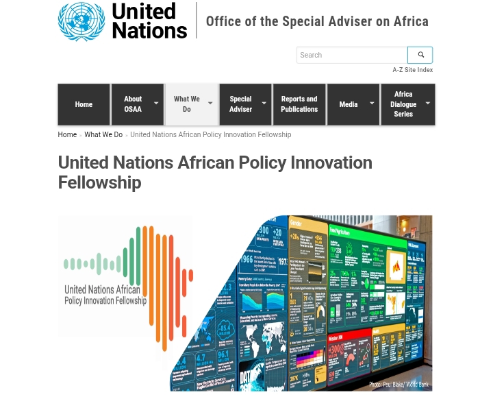 United Nations African Policy Innovation Fellowship 2025 For African ...